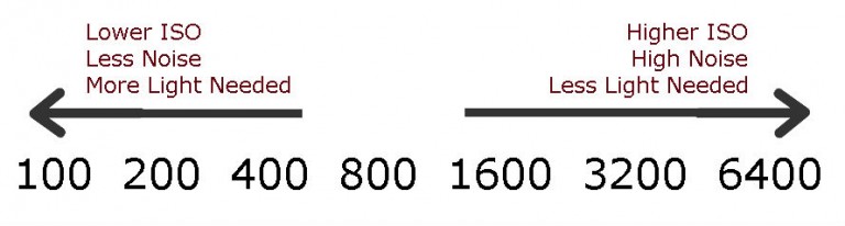 Understanding ISO in Photography: All you need to know